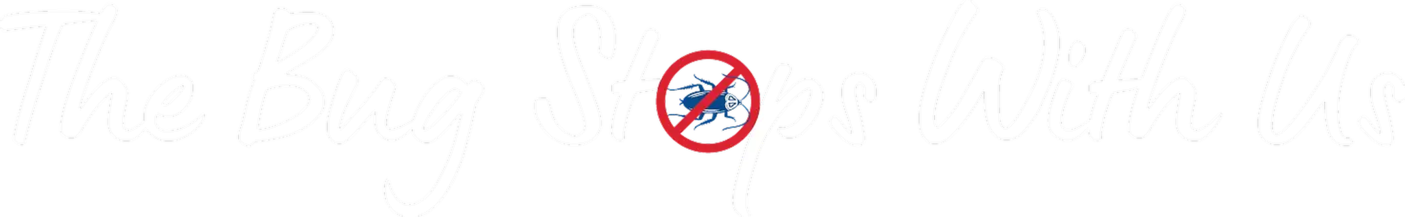 SkillPro Durban Pest Control – Ant, Cockroach & Mosquito Pest Control